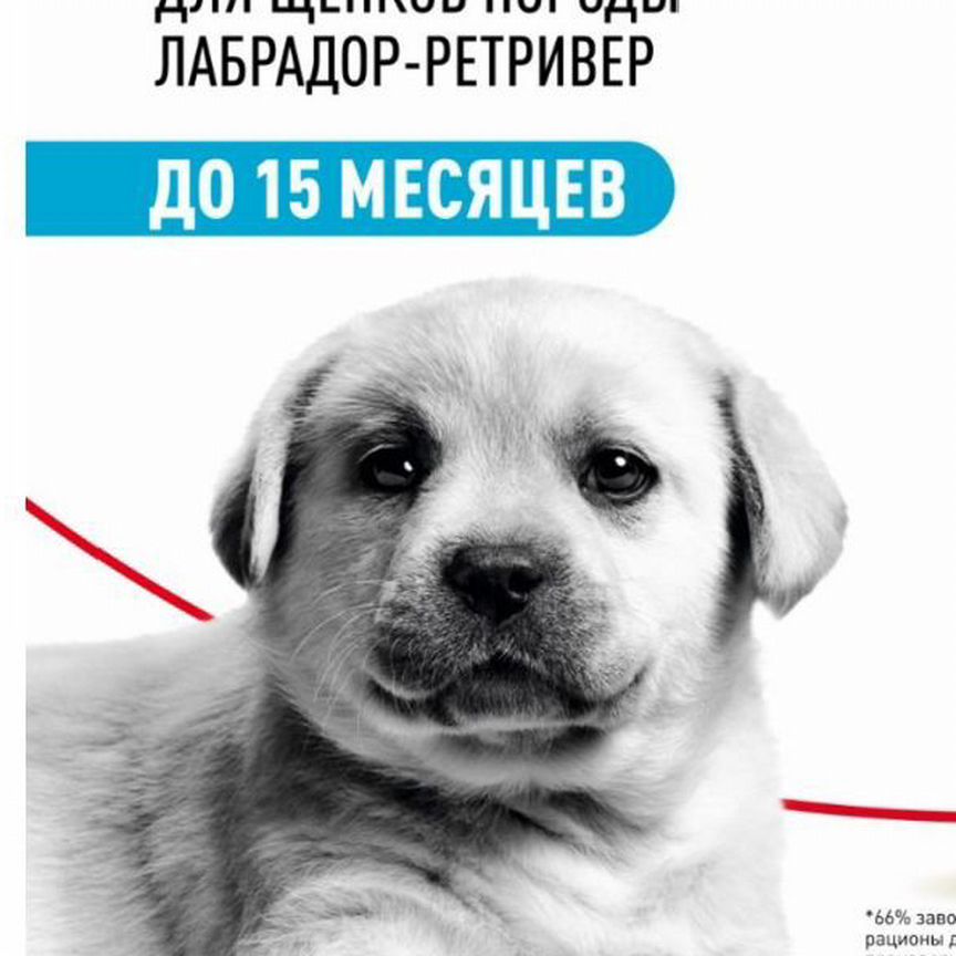 Сухой корм для собак