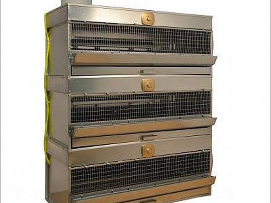 Брудер для цыплят