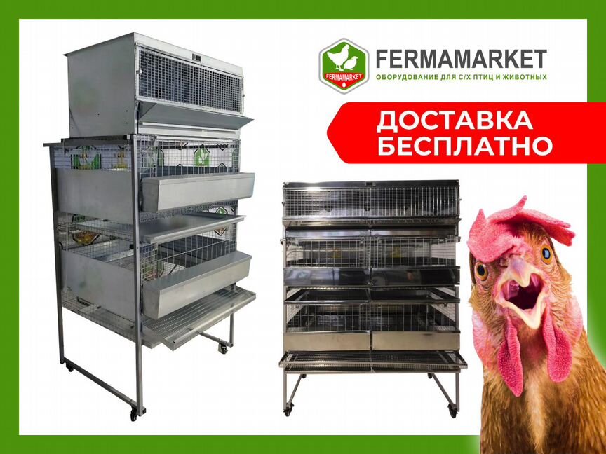 Клетки бройлеров, кур-несушек Детчино