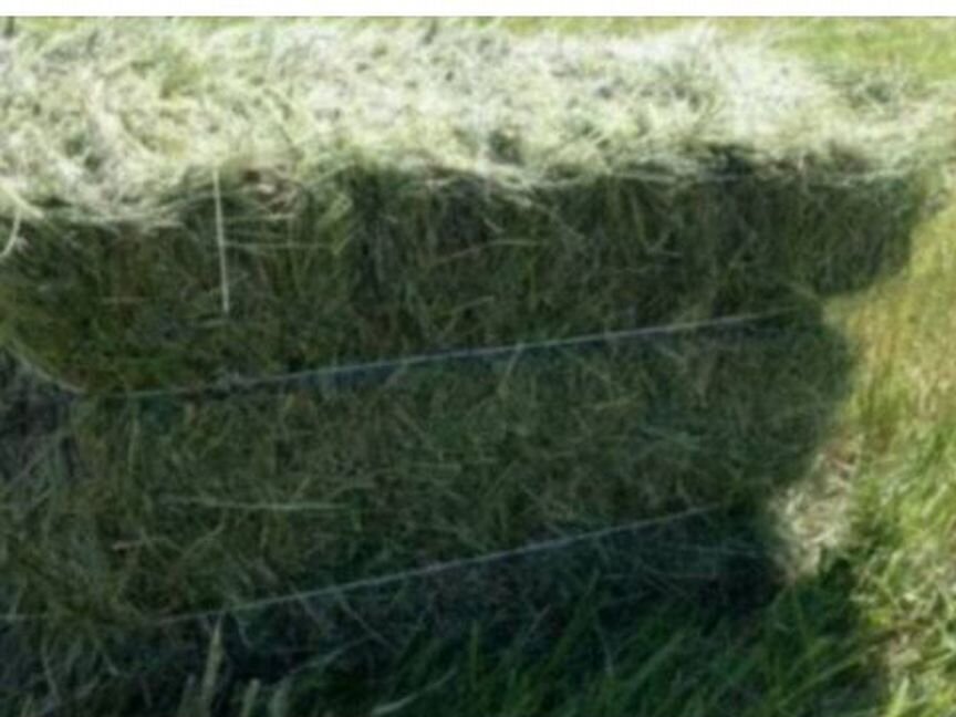 Люцерна, сено, солома