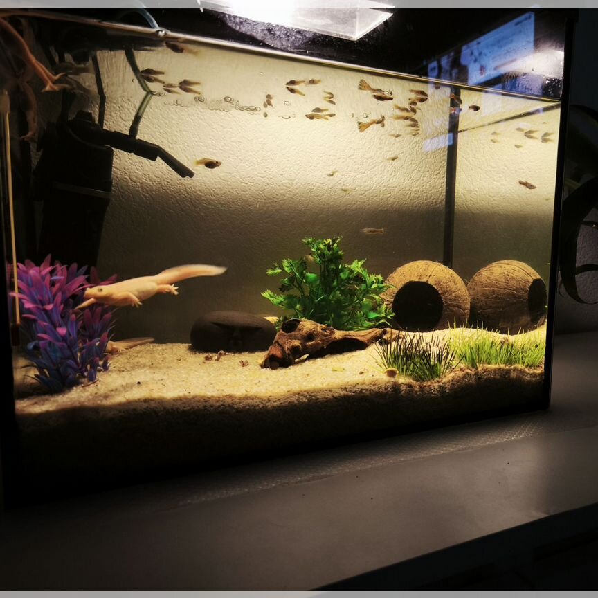 Аквариум 30 литров