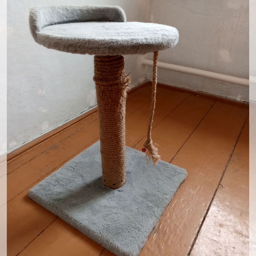 Когтеточка