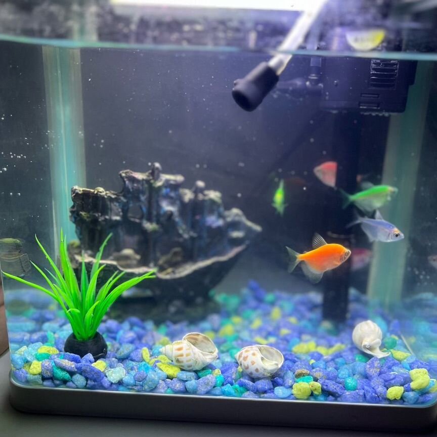 Аквариум для рыбок