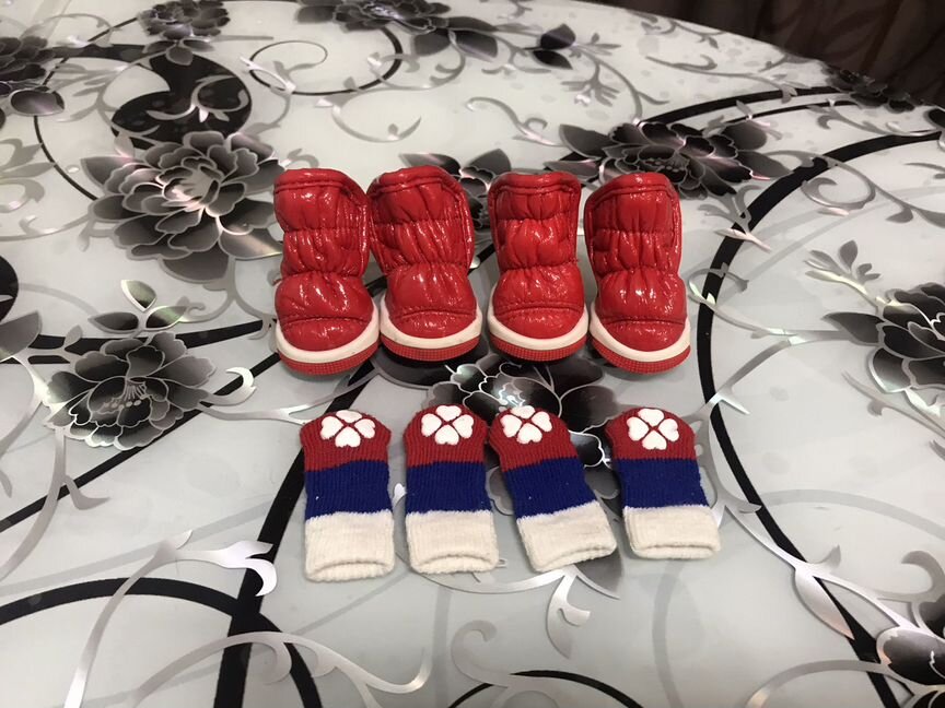 Обувь для собак мелких пород