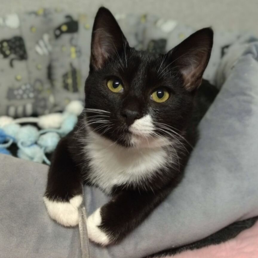 Мальчишка очень хочет домой