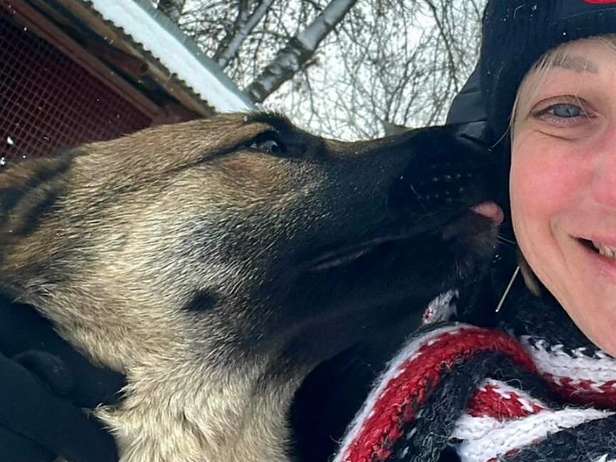 Собака ласковая и добрая ищет дом