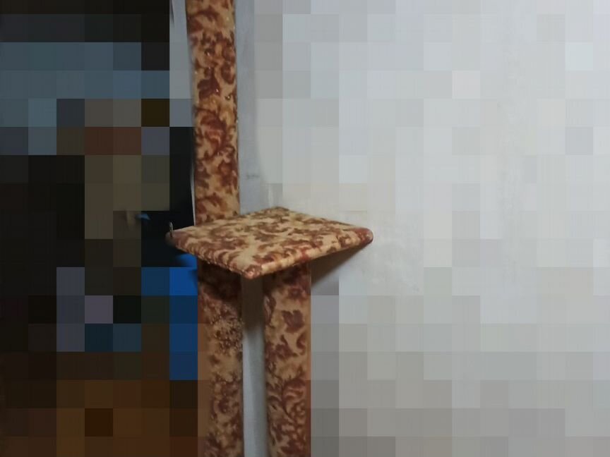 Когтеточка высокая 2м