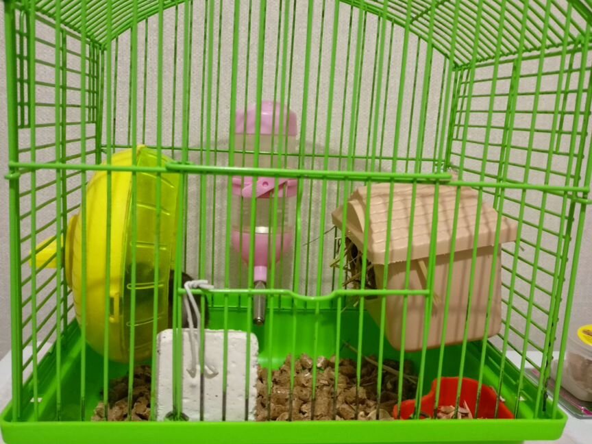 Клетка для джунгарского хомяка