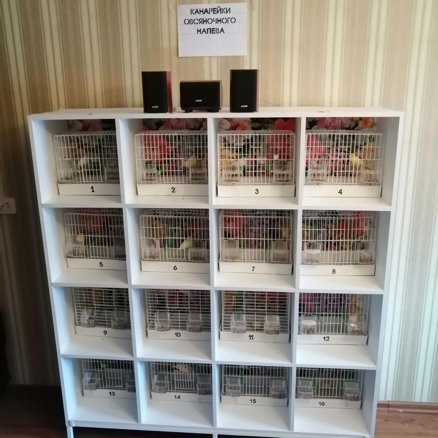 Клетка для канарейка