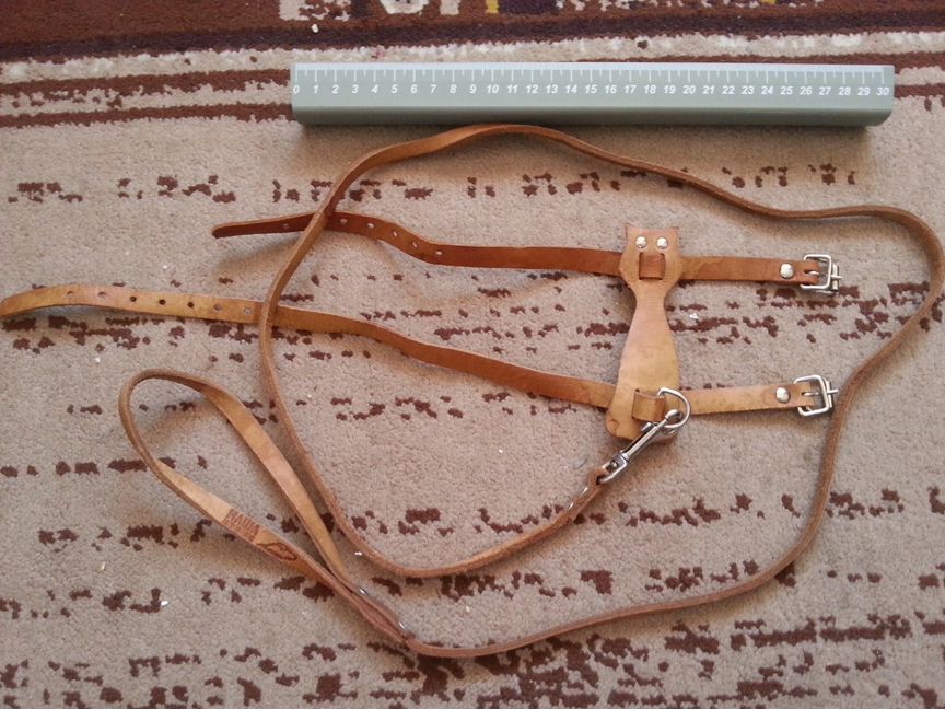 Кожаная шлейка с поводком для собаки