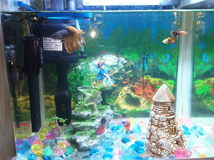 Аквариум с рыбками