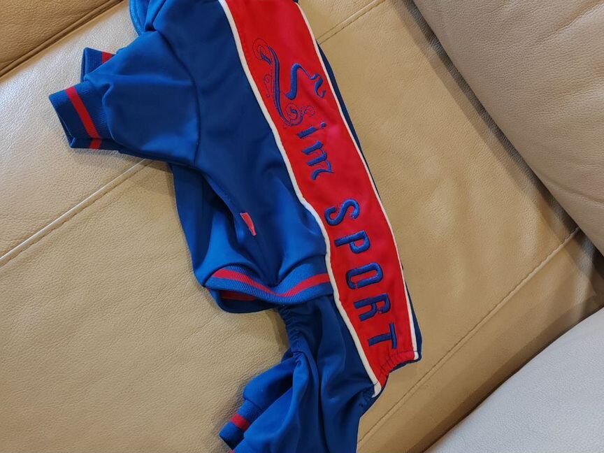 Спортивный костюм для собак