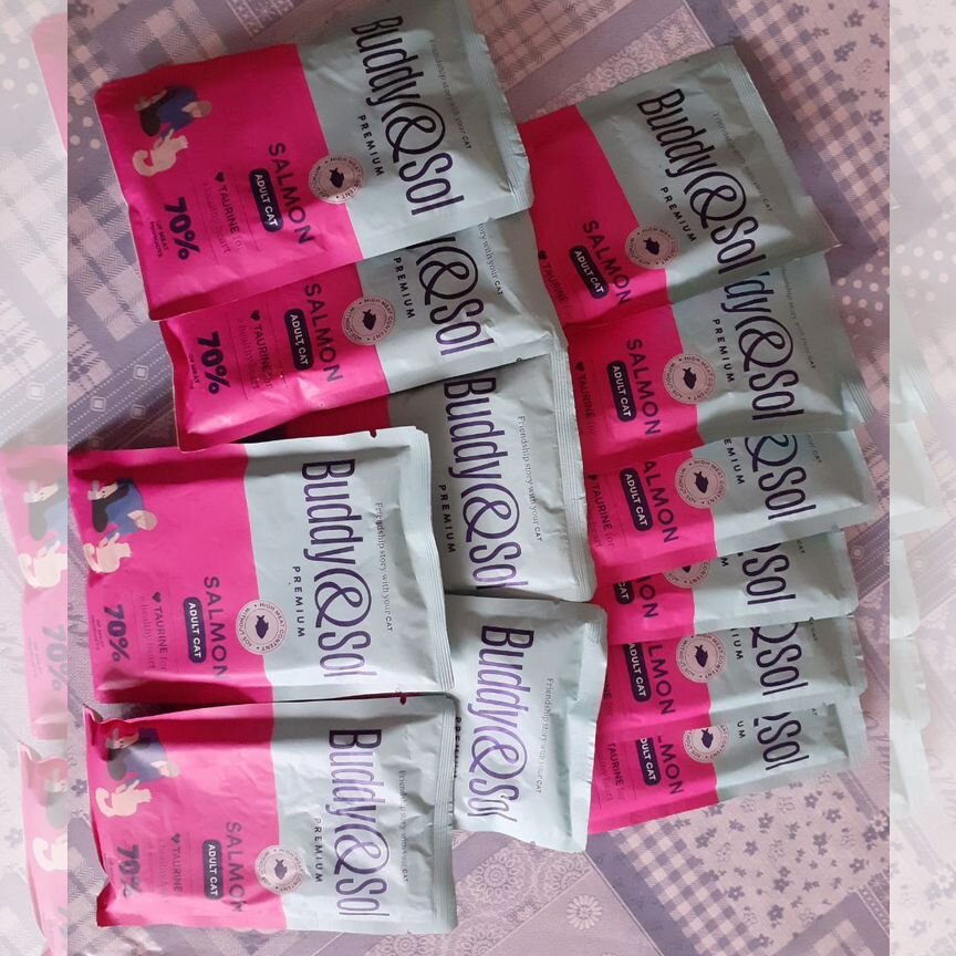 Влажный корм Buddy&Sol для домашних кошек (рыба в