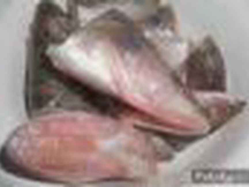 Корм д/собак Головы судака