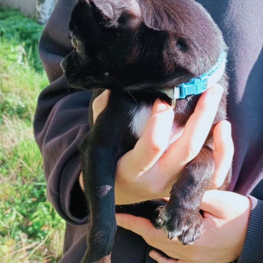 Мальчик уголек