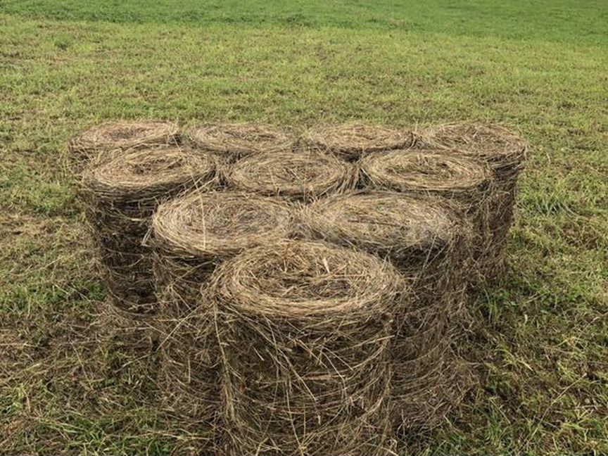 Продам сено в рулонах