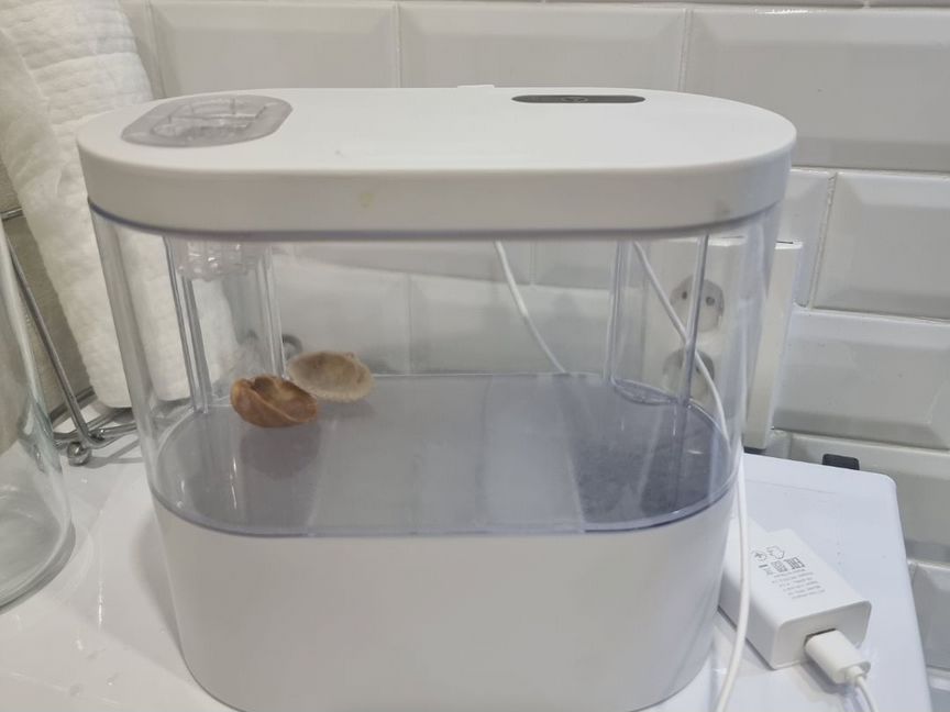 Мини аквариум