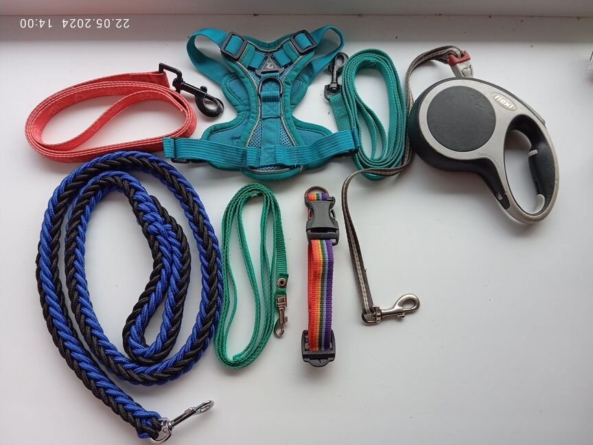 Амуниция для собак