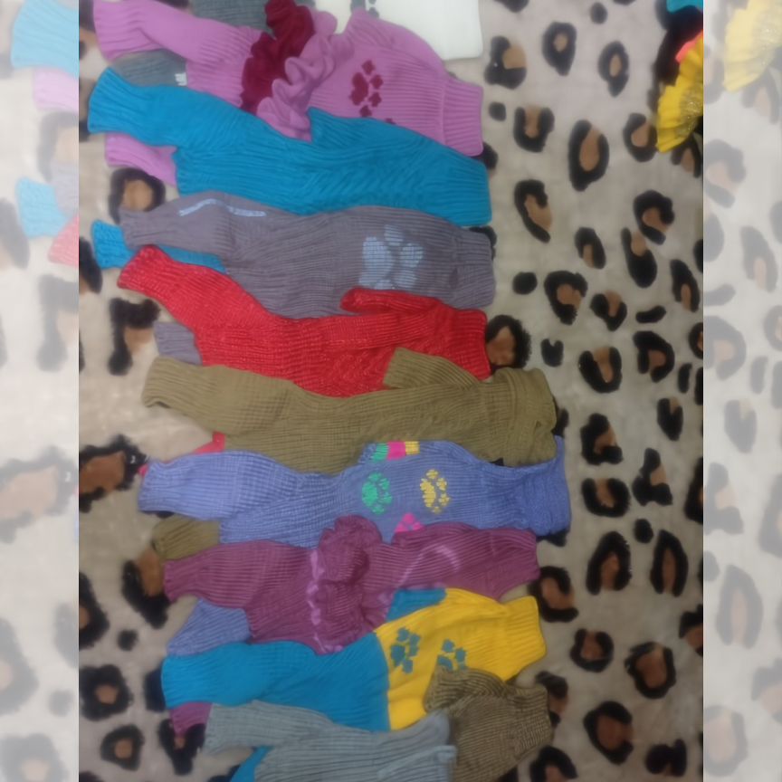 Одежда для маленьких собак