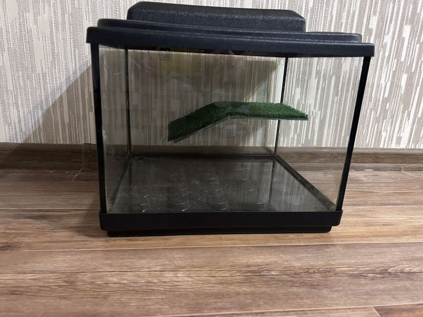 Акватеррариум 20 литров