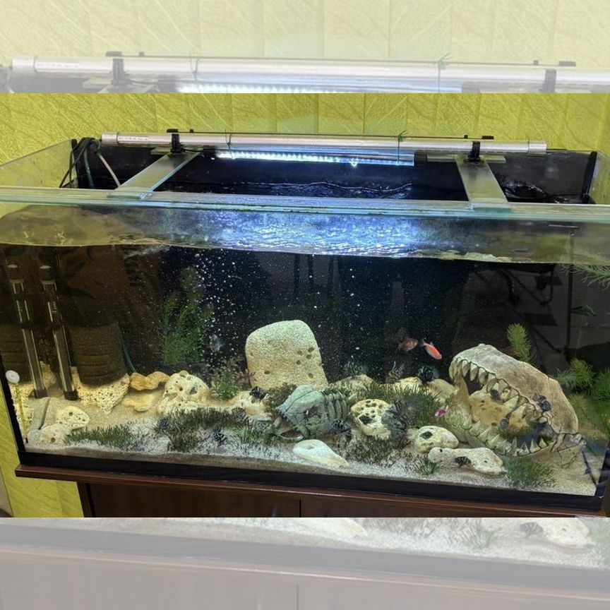 Аквариум 200 литров с тумбой