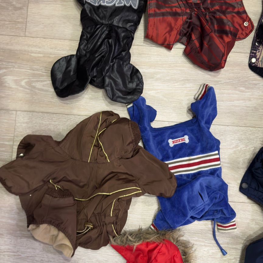 Одежда для собак