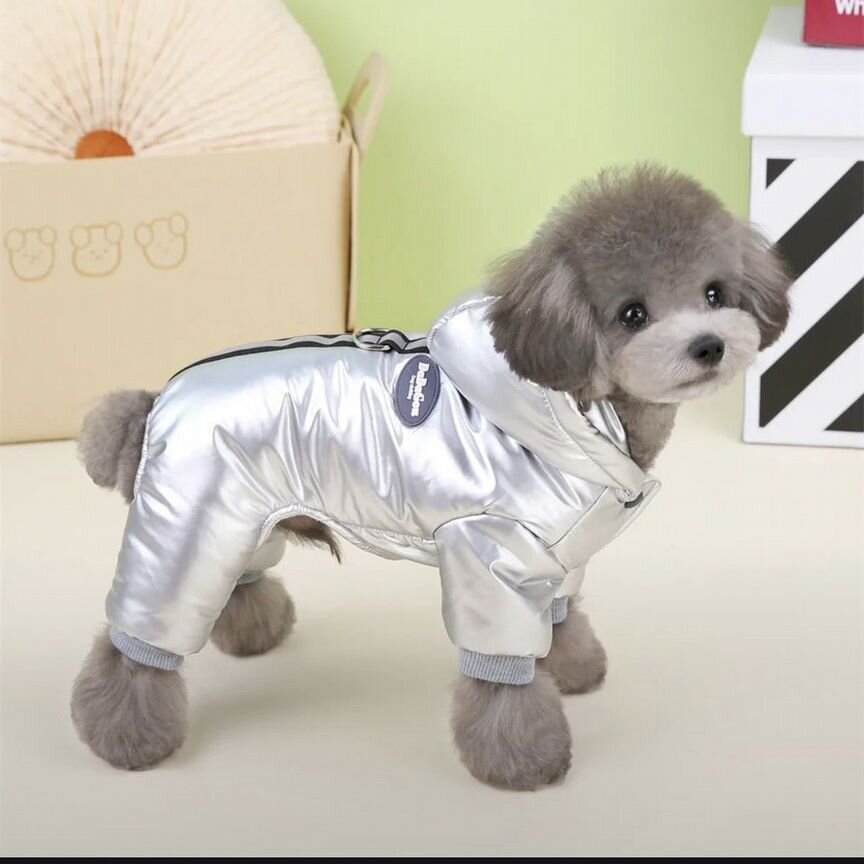 Одежда для маленьких собак бу