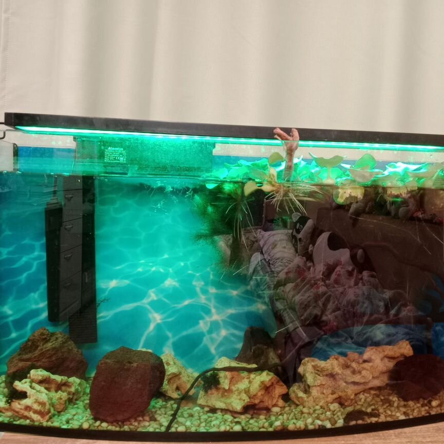 Аквариум 80 л и рыбки у Радуги парк