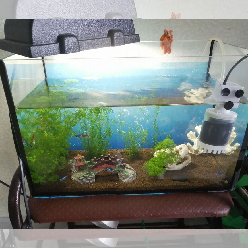 Аквариум с рыбками, криветками, весь комплект
