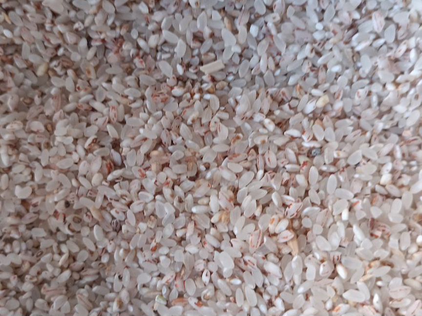 Рис фотоотстрел