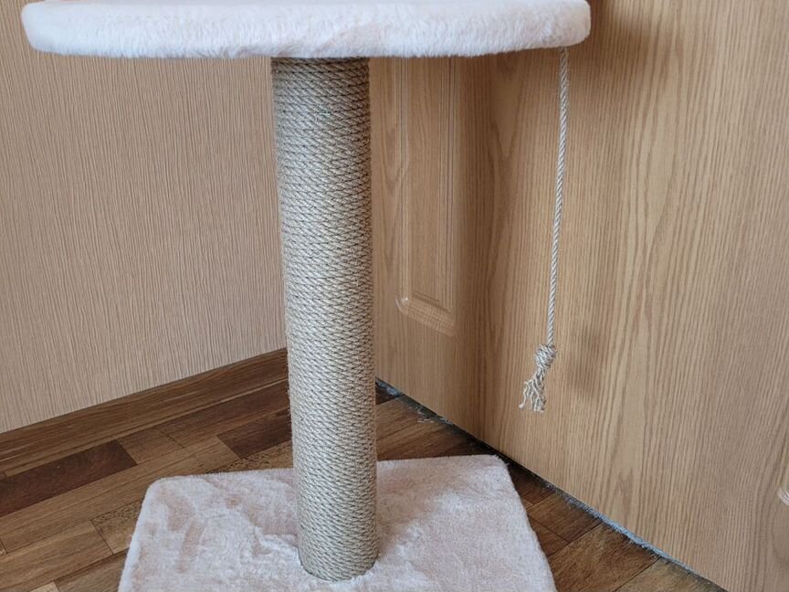 Когтеточка