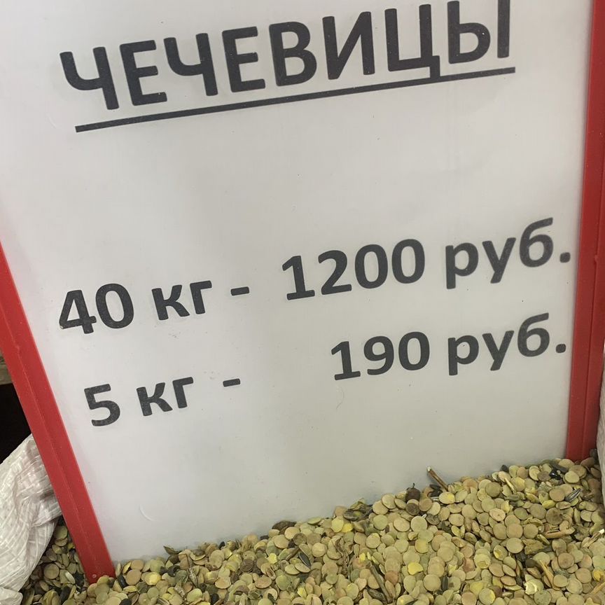 Продам сечку чечевицы