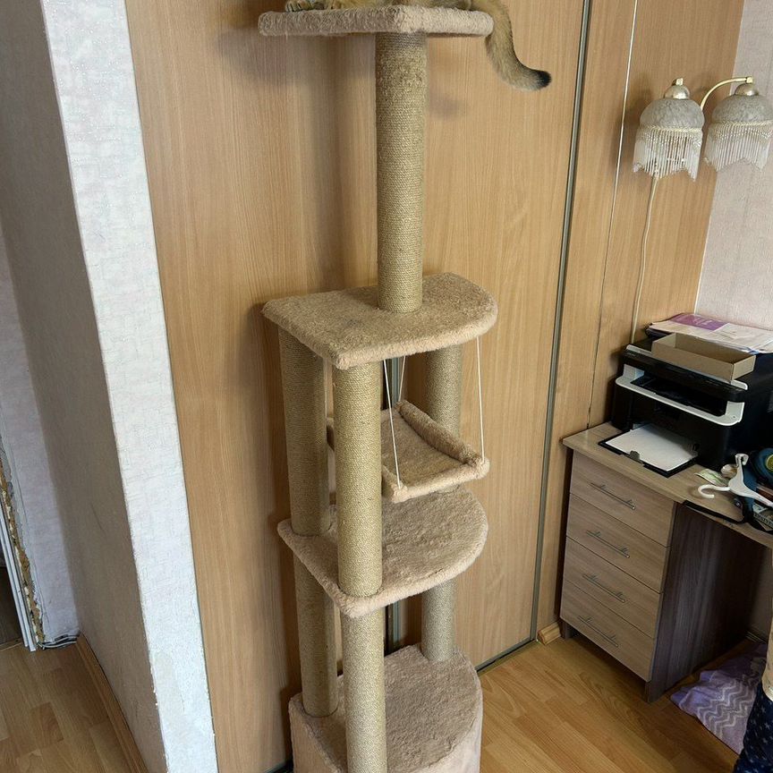 Когтеточка