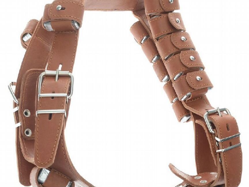 Шлейка с грузами/ качал ротвейлера/ серьёзная вещь