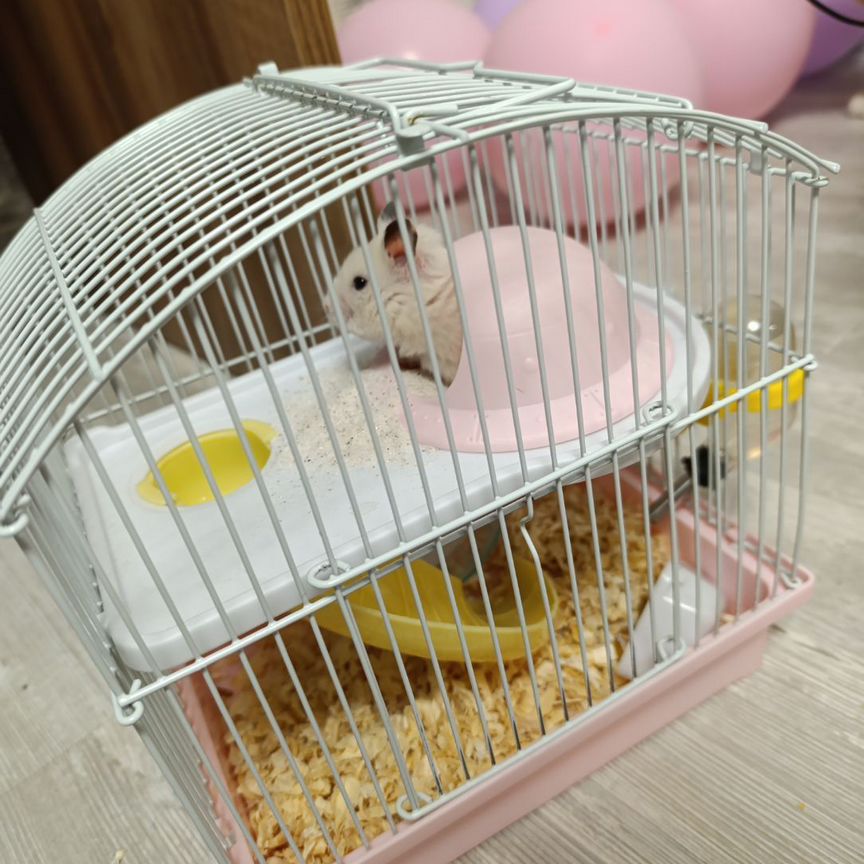 Клетка для грызунов маленькая
