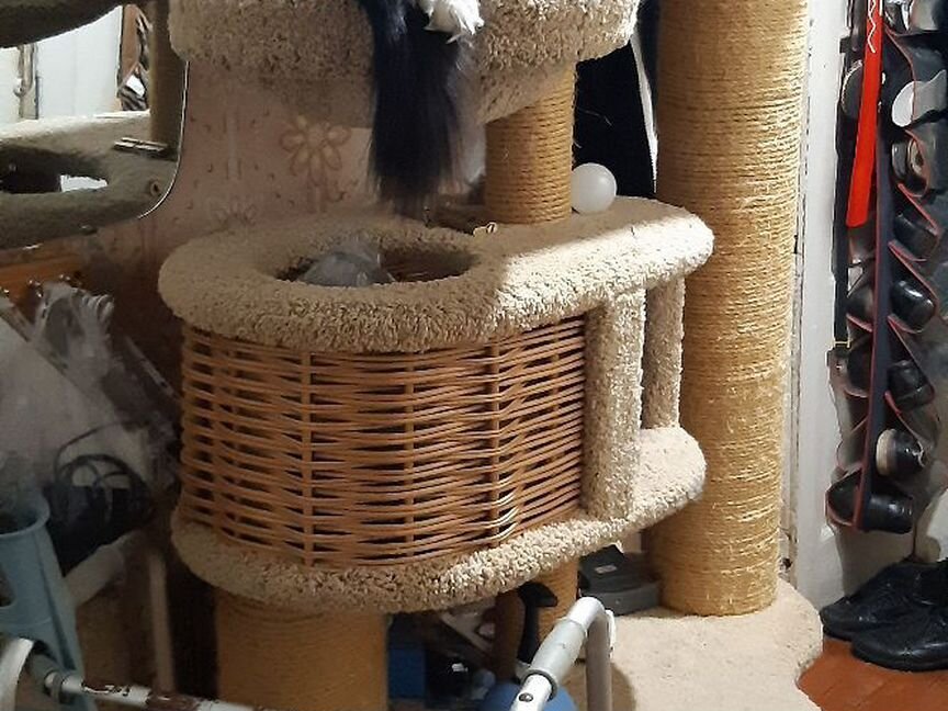 Кошкин Дом