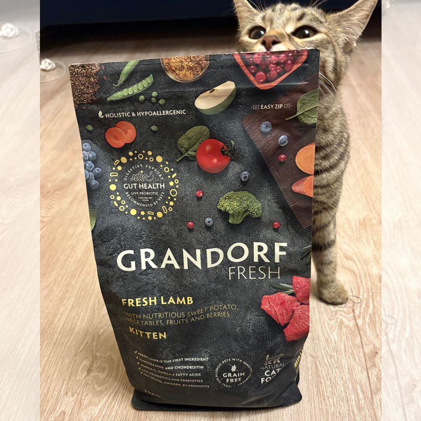 Grandorf cухой корм для котят с ягненком 2 кг