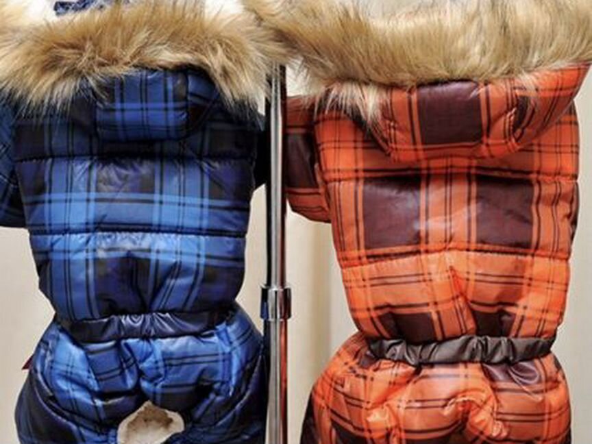 Одежда для собак фирмы Limargy