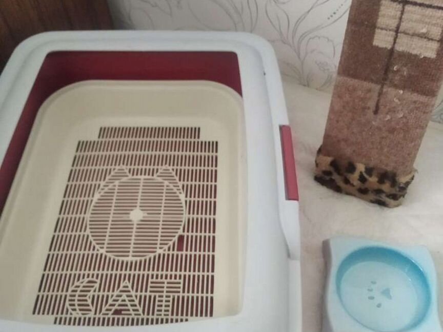 Закрытый лоток для кошек