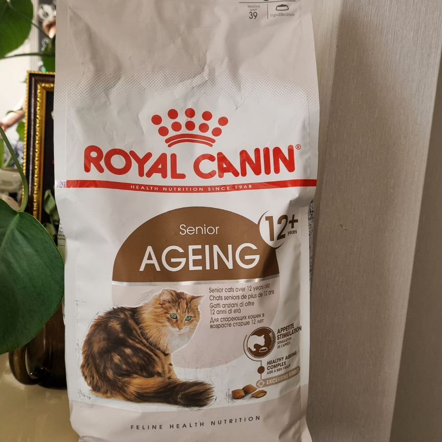 Сухой корм для кошек royal canin