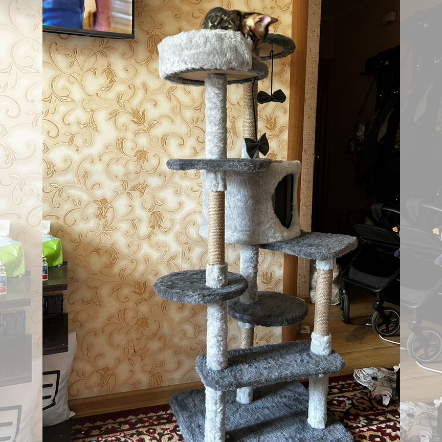 Когтеточка домик для кошки большой