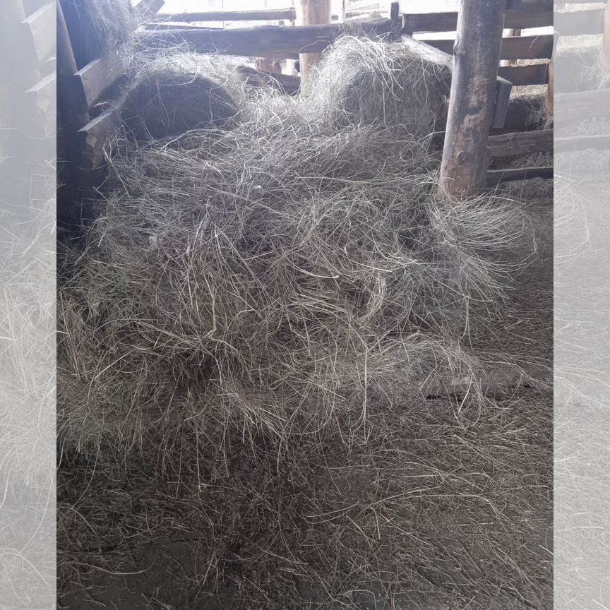 Сено в мини рулонах