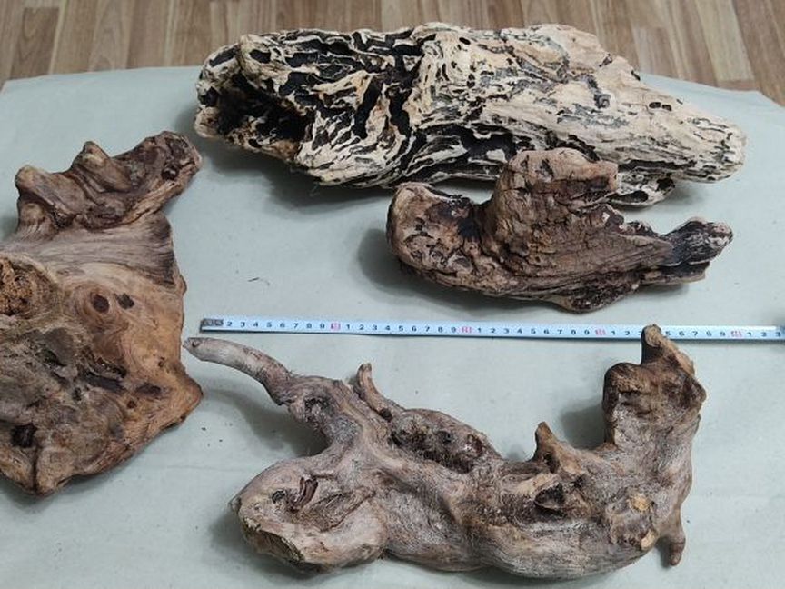 Коряги, ветки, корни, деревяшки, дрифтвуд