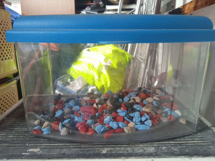 Аквариум-переноска с камешками для рыб