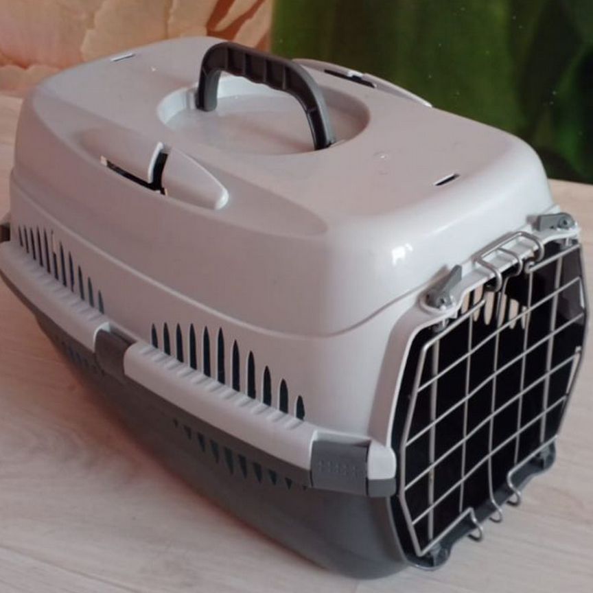 Переноска аренда