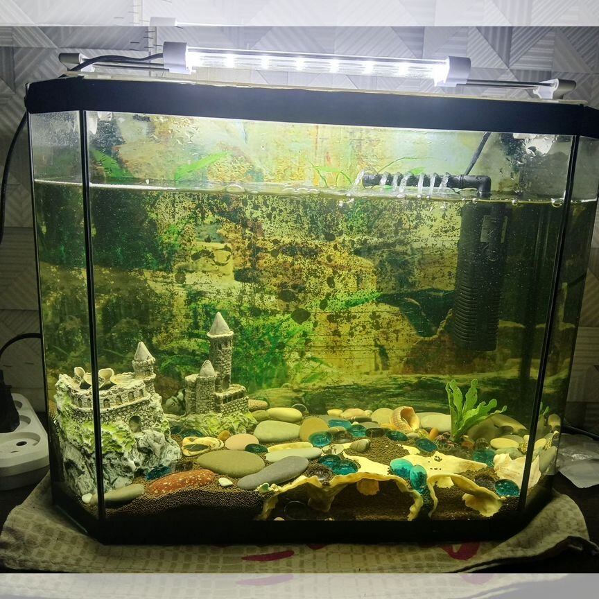 Аквариум
