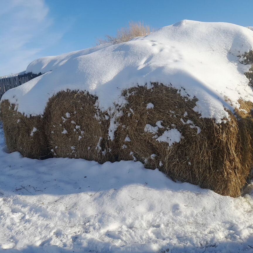 Солома в рулонах