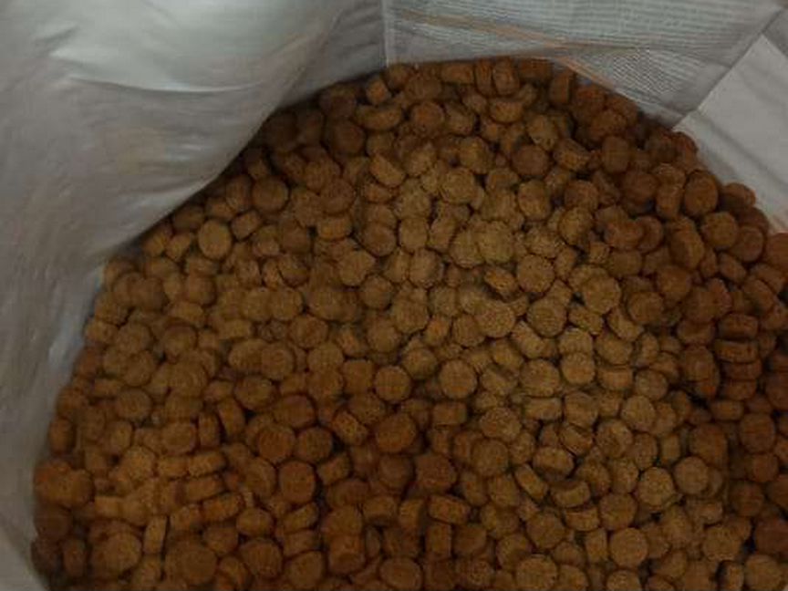 Корм для собак Пурина про план