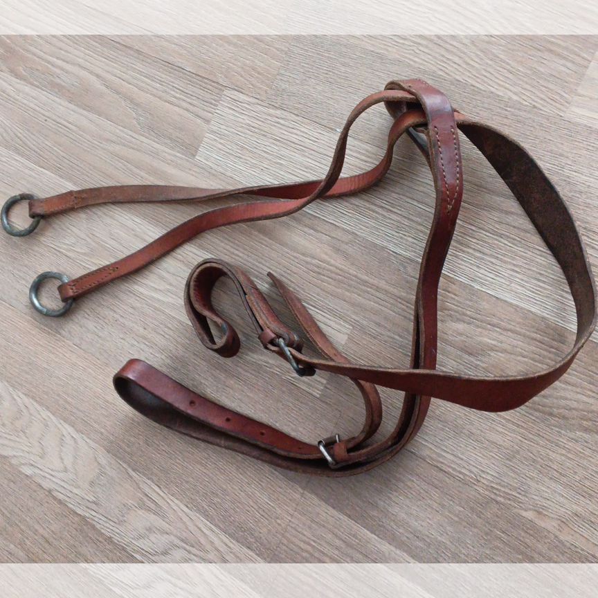 Мартингал для лошади
