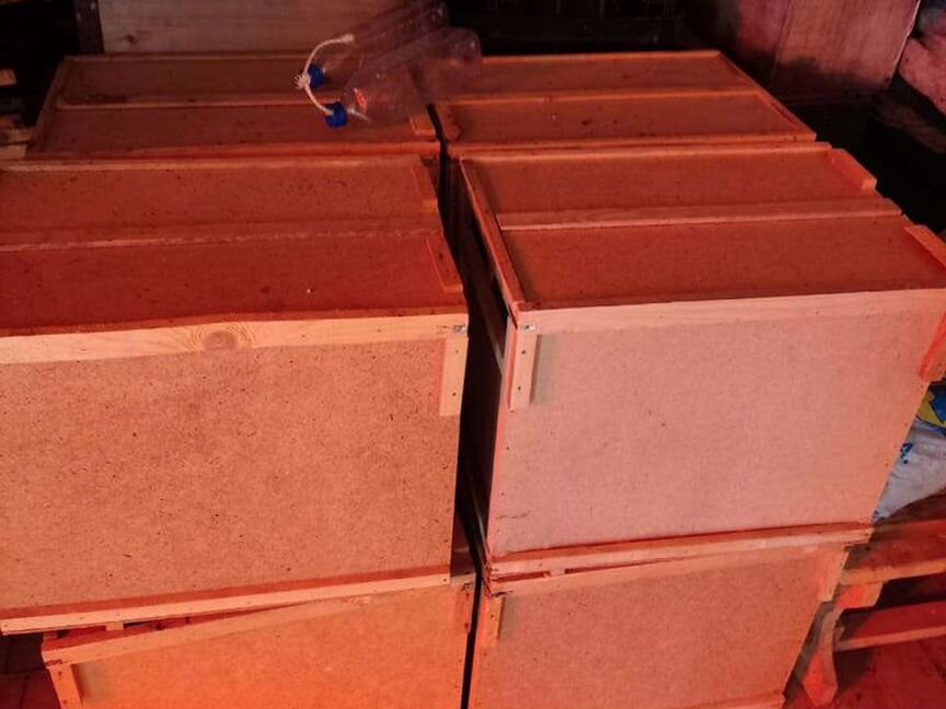 Коробки от пчелопакета